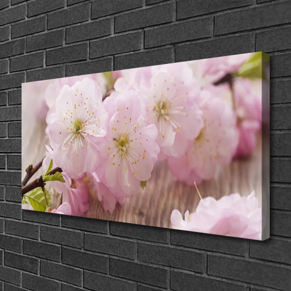 Obraz na plátně Větve Květiny Plátky Příroda 120x60 cm