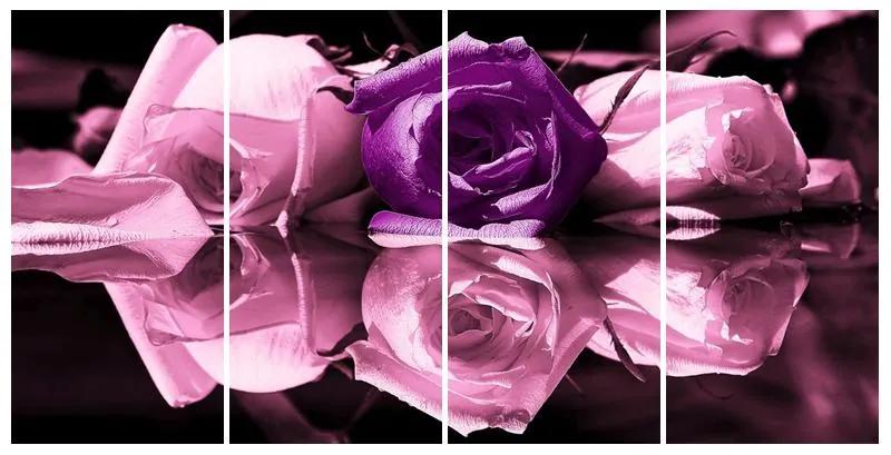 Obraz fialové růže s růžovým odrazem  (160x80 cm), 40 dalších rozměrů