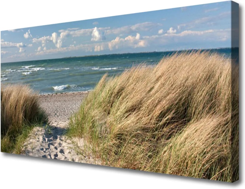 Obraz Canvas Pláž Moře Tráva Krajina