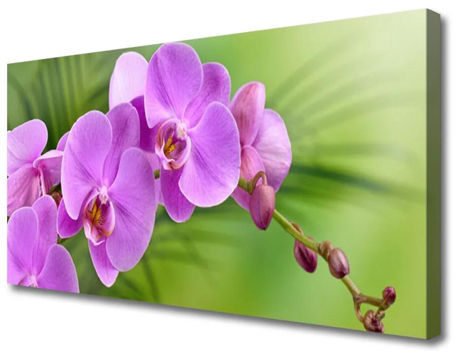 Obraz na plátně Vstavač Orchidej Květiny 125x50 cm