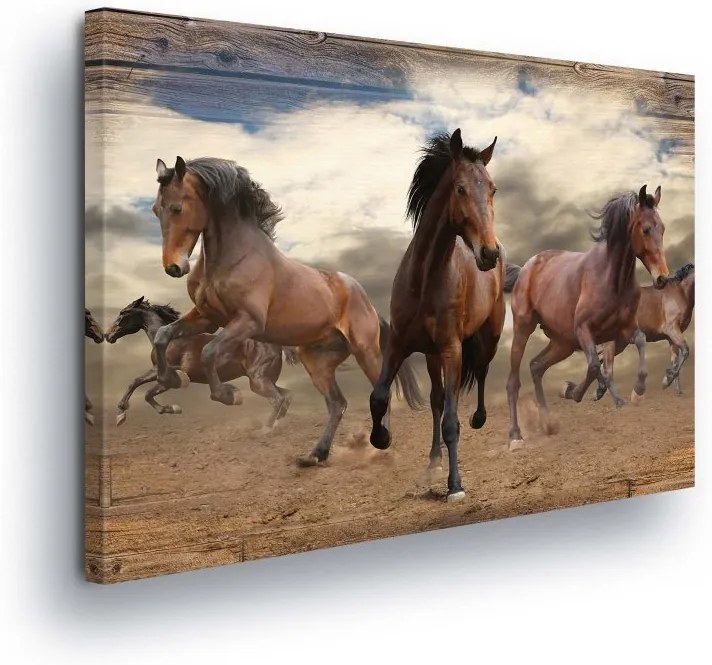 GLIX Obraz na plátně - Divoké Koně 100x75 cm