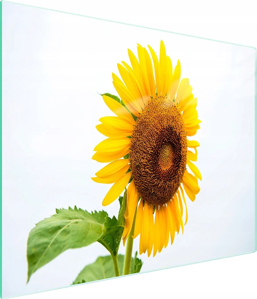 Skleněná Krájecí Deska 52x30 Květina Tvrzené Sklo