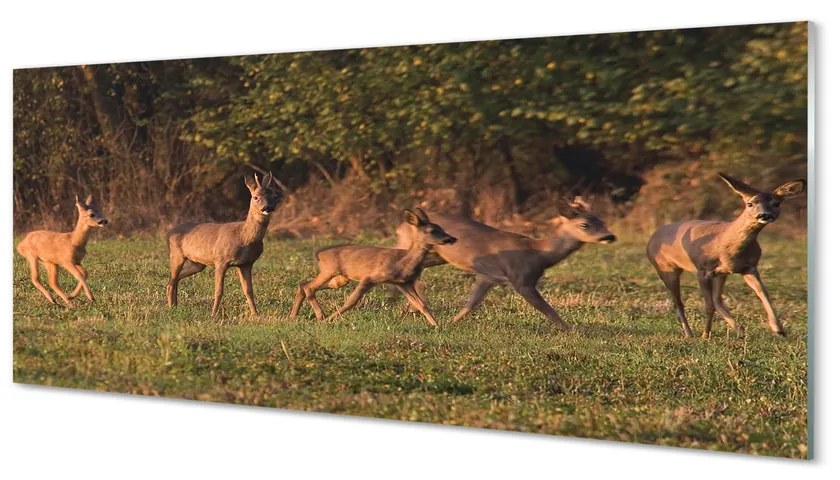akrylový obraz Deer Golf svítání 120x60 cm