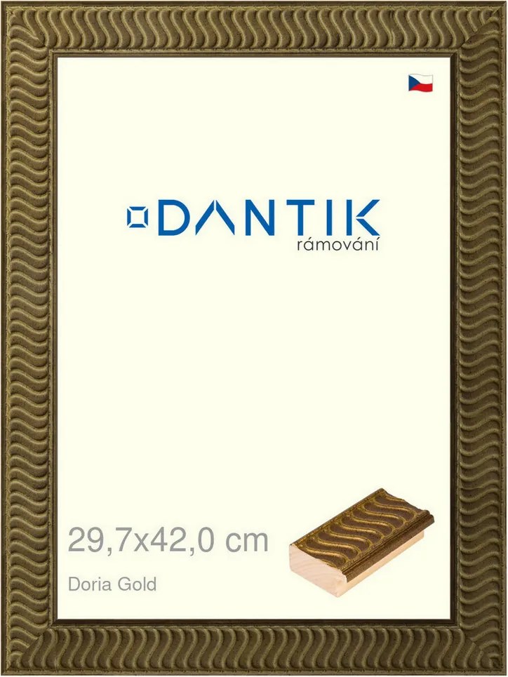 DANTIK rámeček 29,7x42 | Doria Gold (Plexi Čiré)