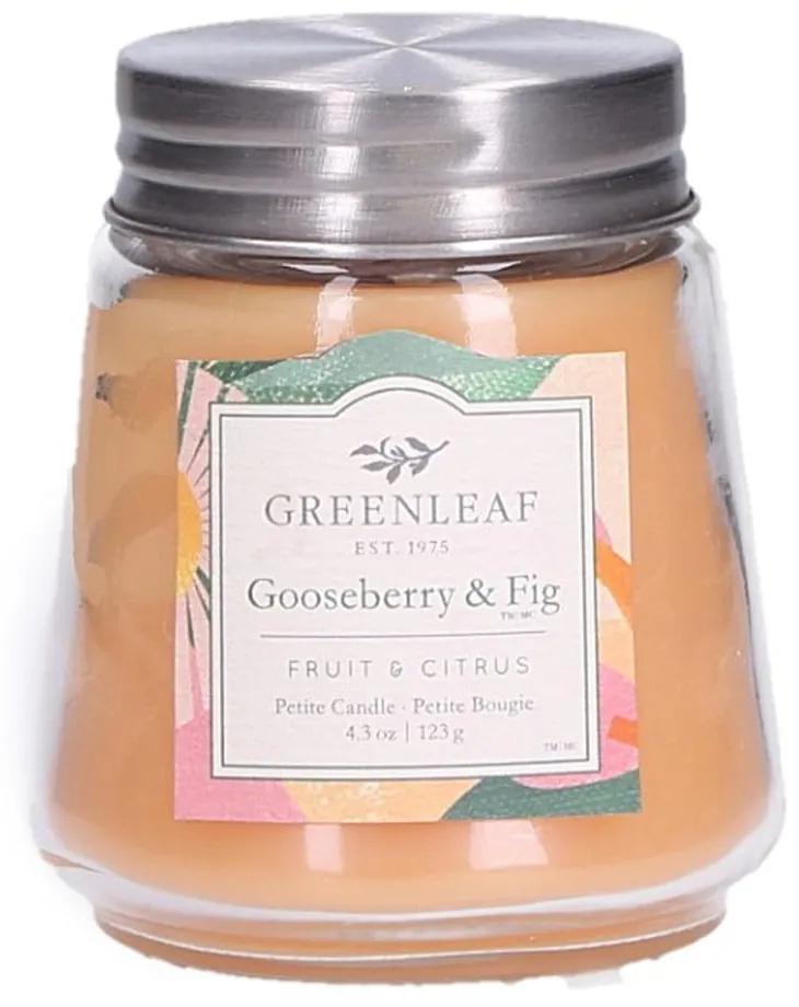 Vonná svíčka Greenleaf Gooseberry And Fig, doba hoření 30 h