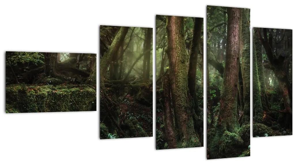 Obraz - Tajemný les (110x60 cm), 40 dalších rozměrů
