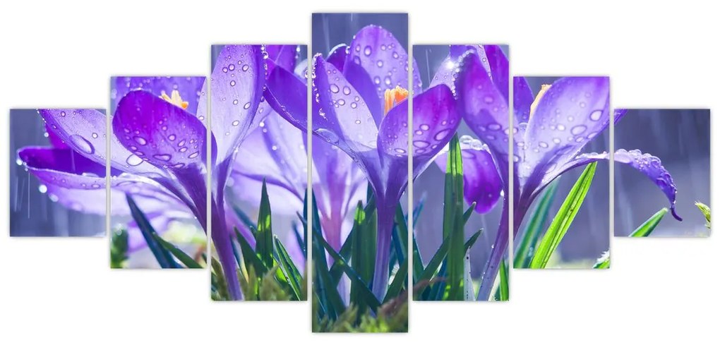 Obraz květin v dešti (210x100 cm)