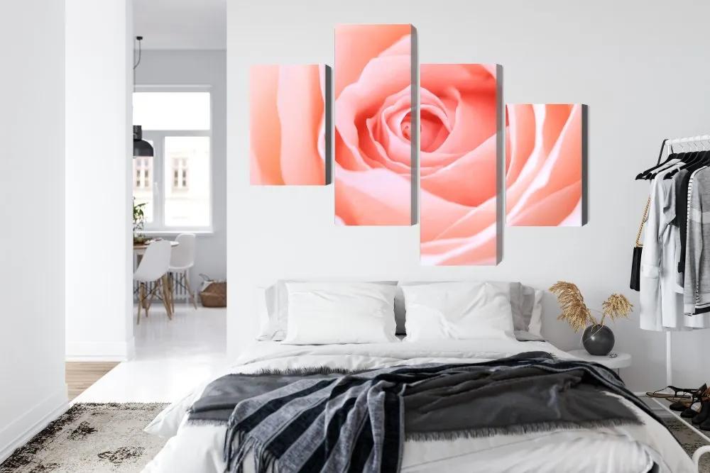 Vícedílný obraz Pastelová Růže Na 3D Makro Měřítku Nedostatek Nedostatek Plátno Canvas 80x50