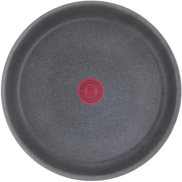 Tefal - Pánev INGENIO NATURAL FORCE 24 cm