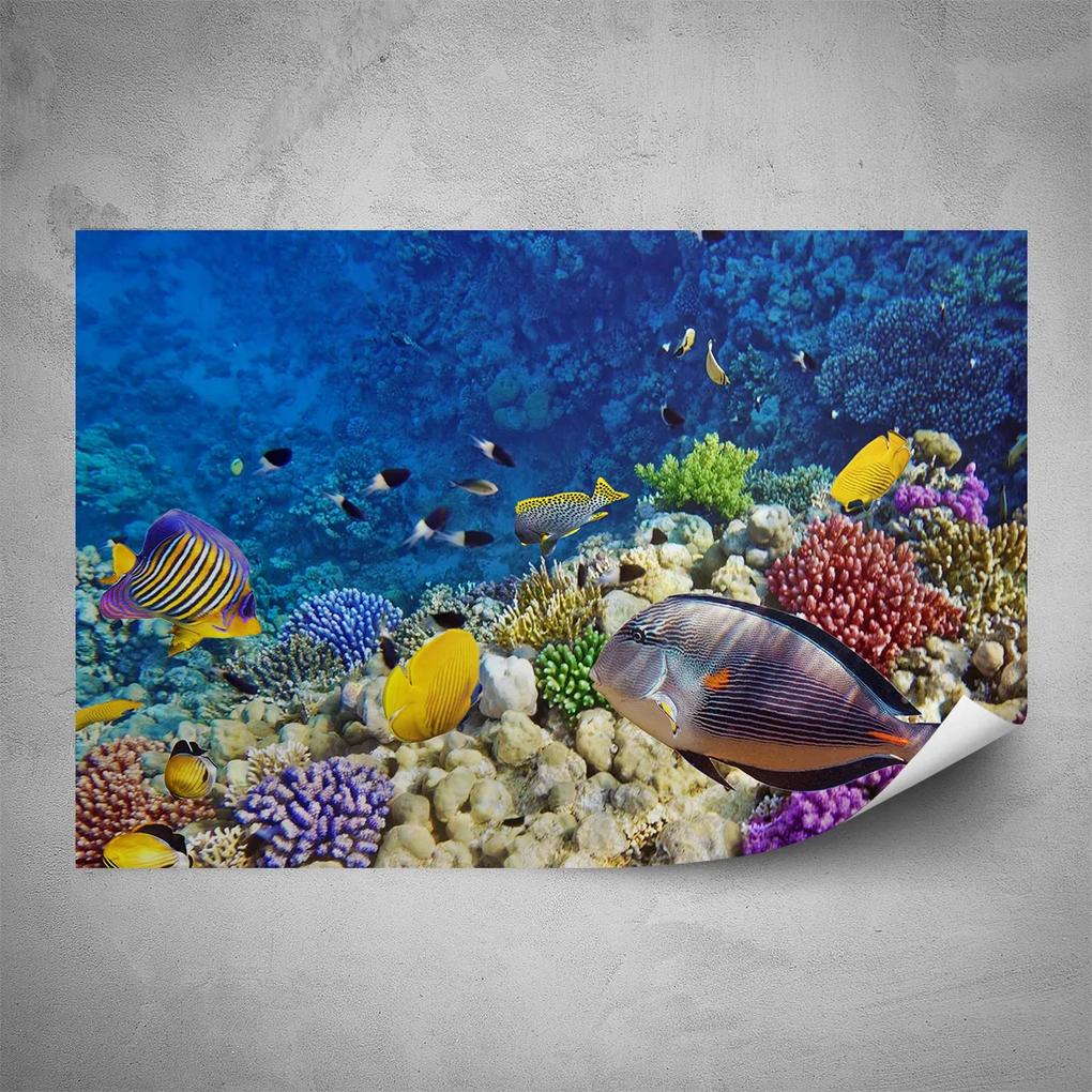 Plakát - Podmořský život (60x40 cm) - PopyDesign