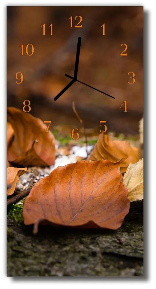 Skleněné hodiny vertikální  Podzimní hnědá příroda 30x60 cm