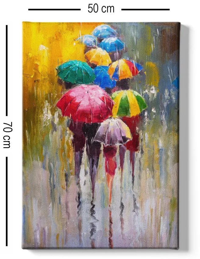 Obraz na plátně Raining rainbow 50x70 cm