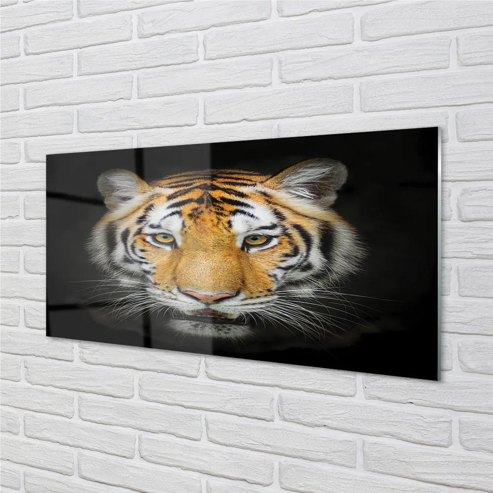 akrylový obraz Tygr 100x50 cm