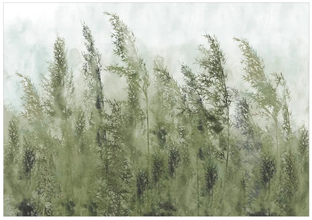 Fototapeta - Tall Grasses - Green