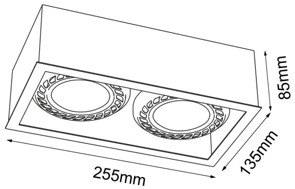 Brosline 1274 - Bodové svítidlo CAGE 2xGU10/18W/230V bílá