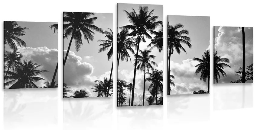 5-dílný obraz kokosové palmy na pláži v černobílém provedení - 100x50 cm