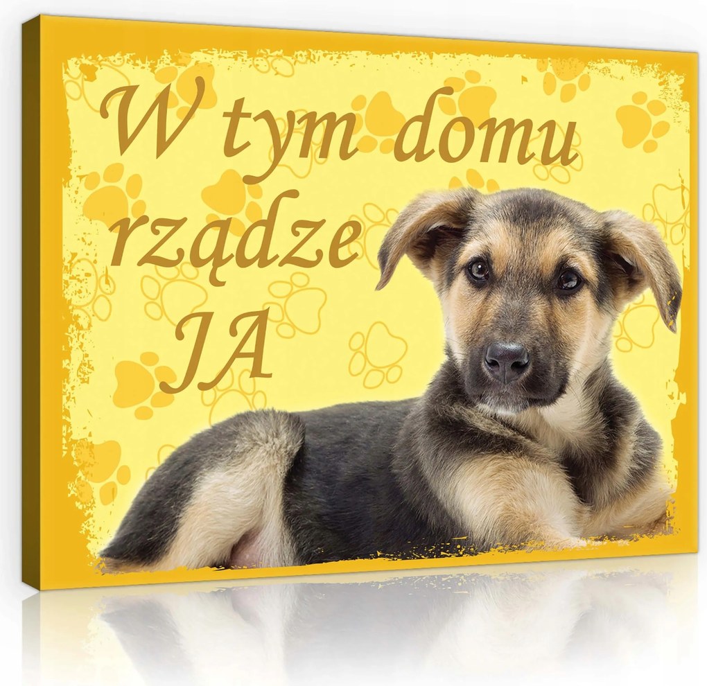 Obraz 80x60 Štěňátko pejsek roztomilý mazlíček radost útulnost tlapky žlutý