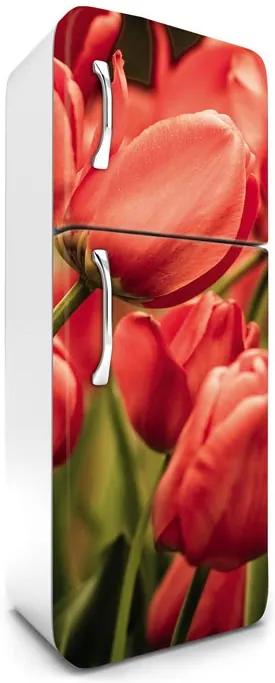 Samolepicí fototapeta na lednici Červené tulipány FR-180-012, 65x180 cm