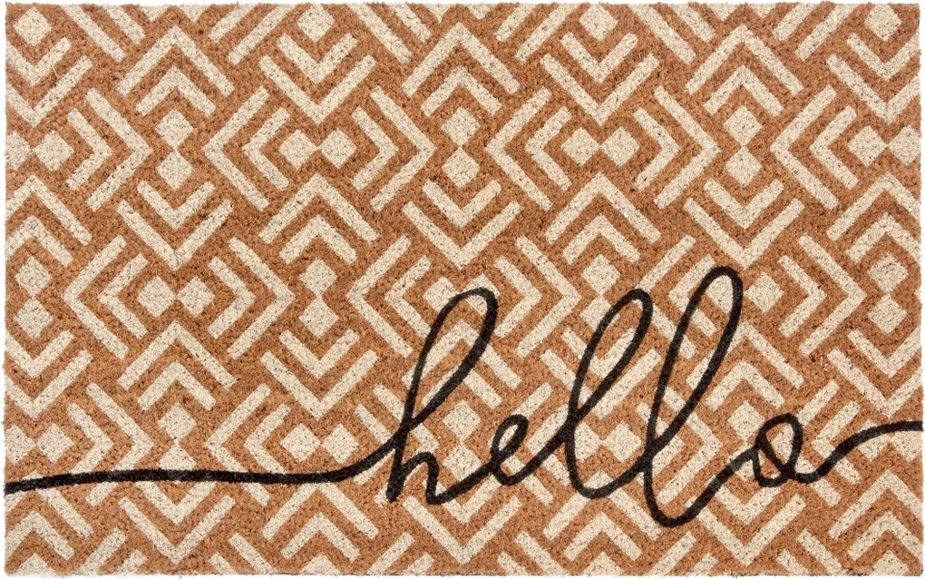Hanse Home, Rohožka Hello 105681 - na ven i na doma, 45x75, hnědá, chodba / předsíň