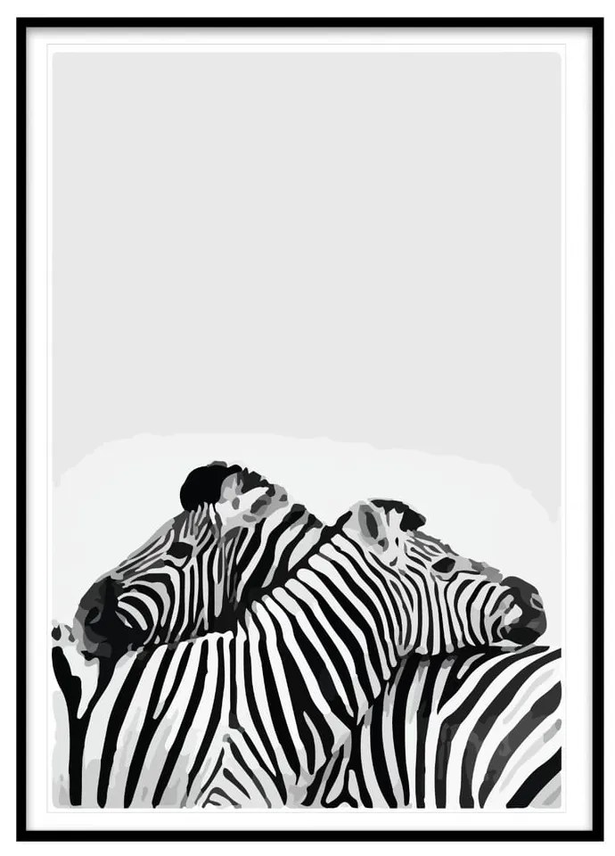 Obraz Piacenza Art Two Zebra, 30 x 20 cm