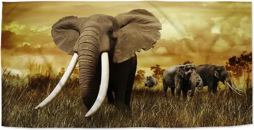 Sablio Ručník Slon Africký - 70x140 cm