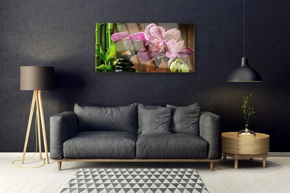 Obraz na skle Kvetiny Bambus Rostlina 140x70 cm