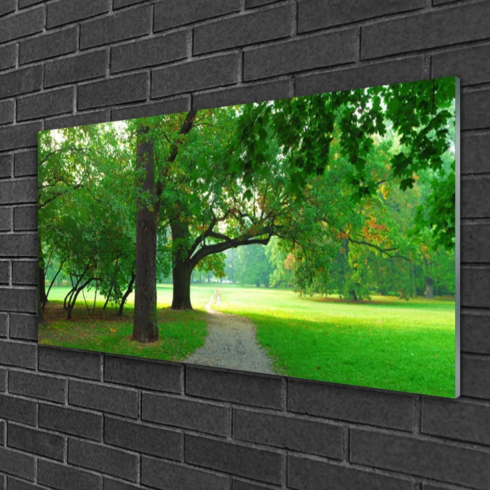 Obraz na skle Stezka Stromy Příroda 100x50 cm