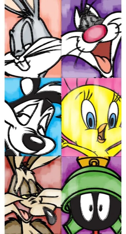 Plážová osuška Looney Tunes