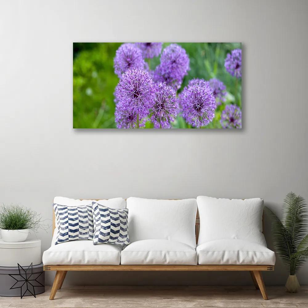 Obraz na plátně Fialové Květiny Louka 100x50 cm