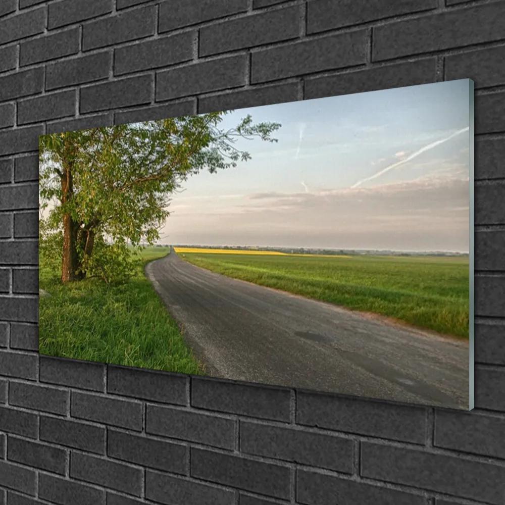 Obraz na skle Scesta Strom Tráva Krajina 140x70 cm