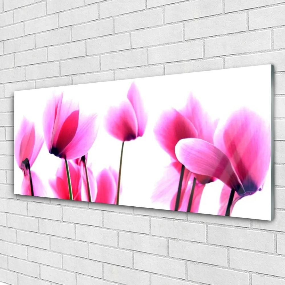 akrylový obraz Květíny Rostlina 125x50 cm