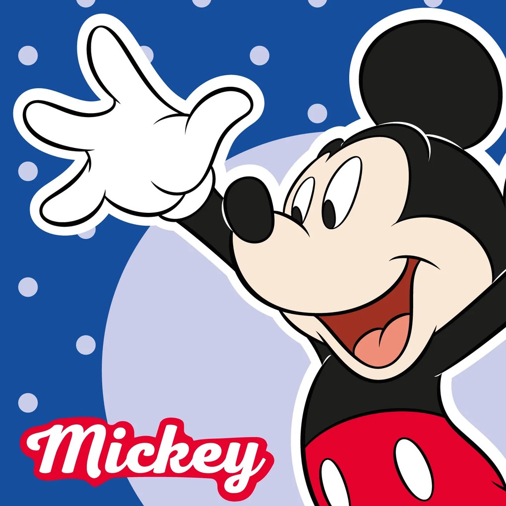 Magický ručníček MICKEY 033