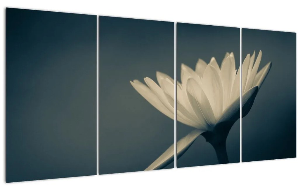 Obraz květiny (160x80 cm), 40 dalších rozměrů