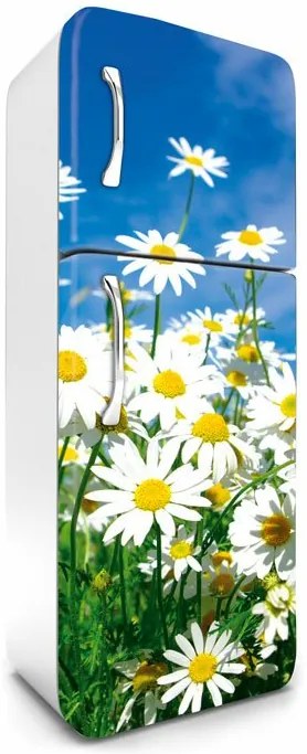 Fototapeta na lednici Daisies 65 x 180 cm FR180-011