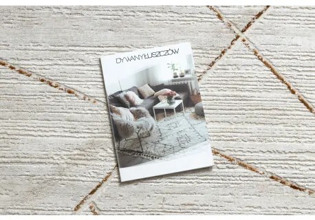 Dywany Luszczow Kusový koberec moderní DUKE 51557 krémová / zlatý Rozměr koberce: 200 x 290 cm