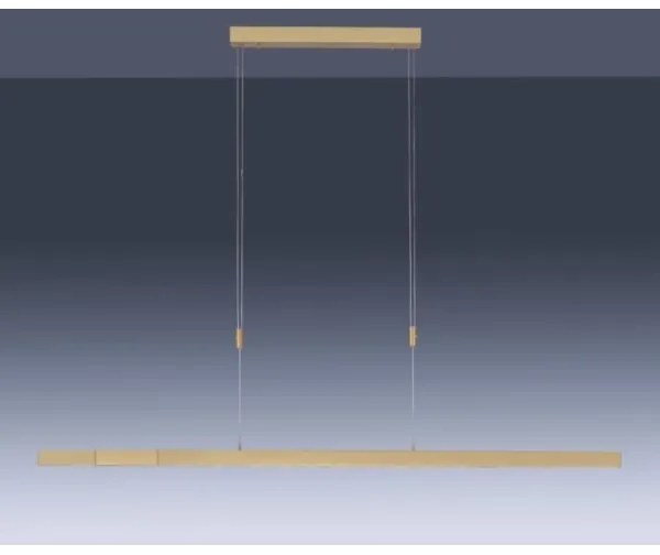 Paul Neuhaus 2568-60 - LED Stmívatelný lustr na lanku ADRIANA LED/14W/230V mosaz