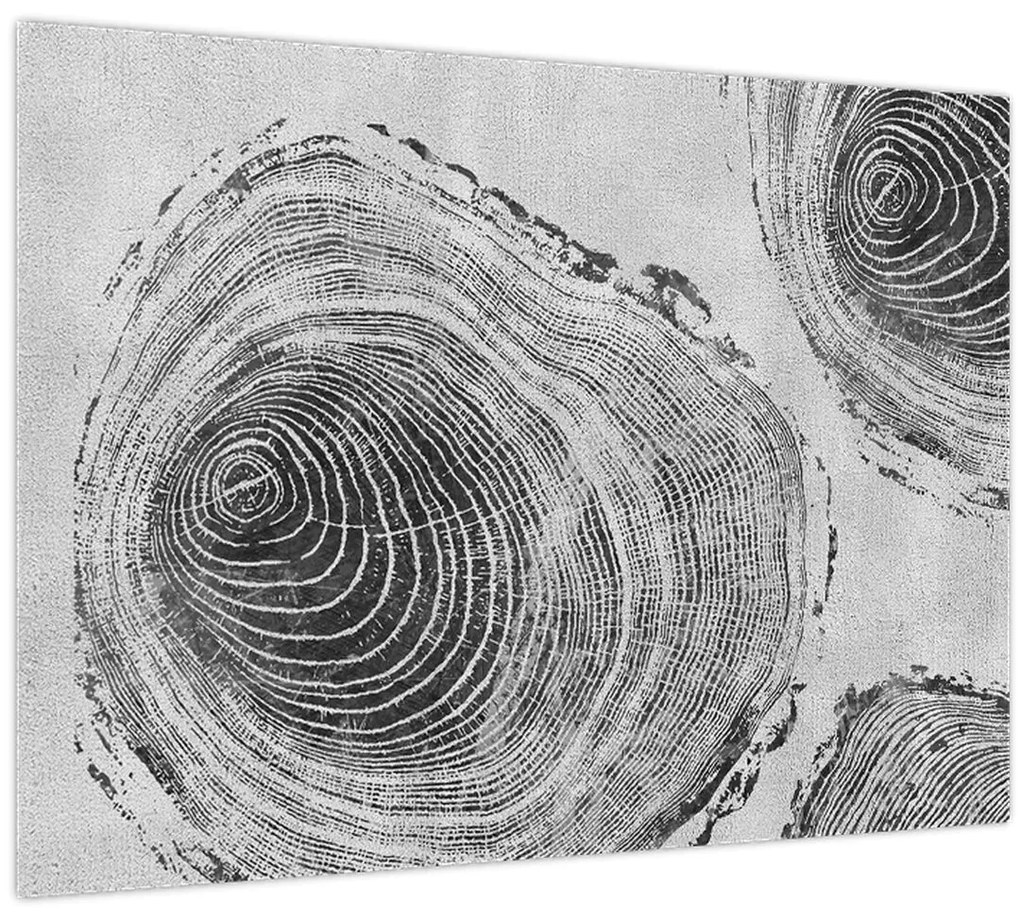 Obraz - Motiv stromu (70x50 cm)