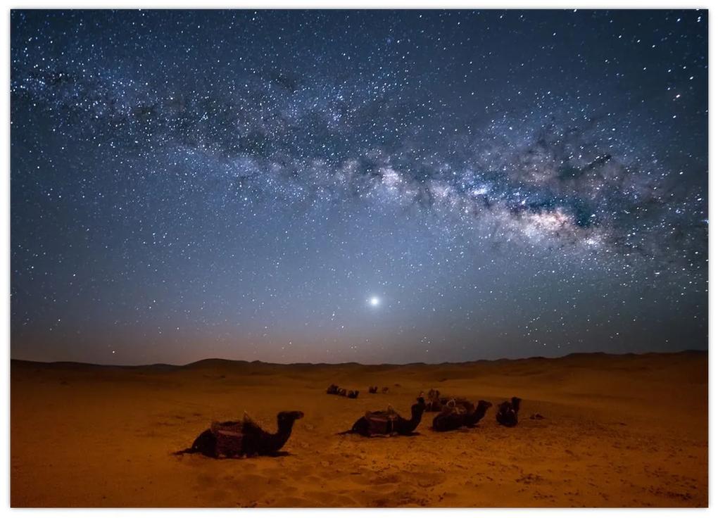 Obraz - Noc v poušti (70x50 cm)