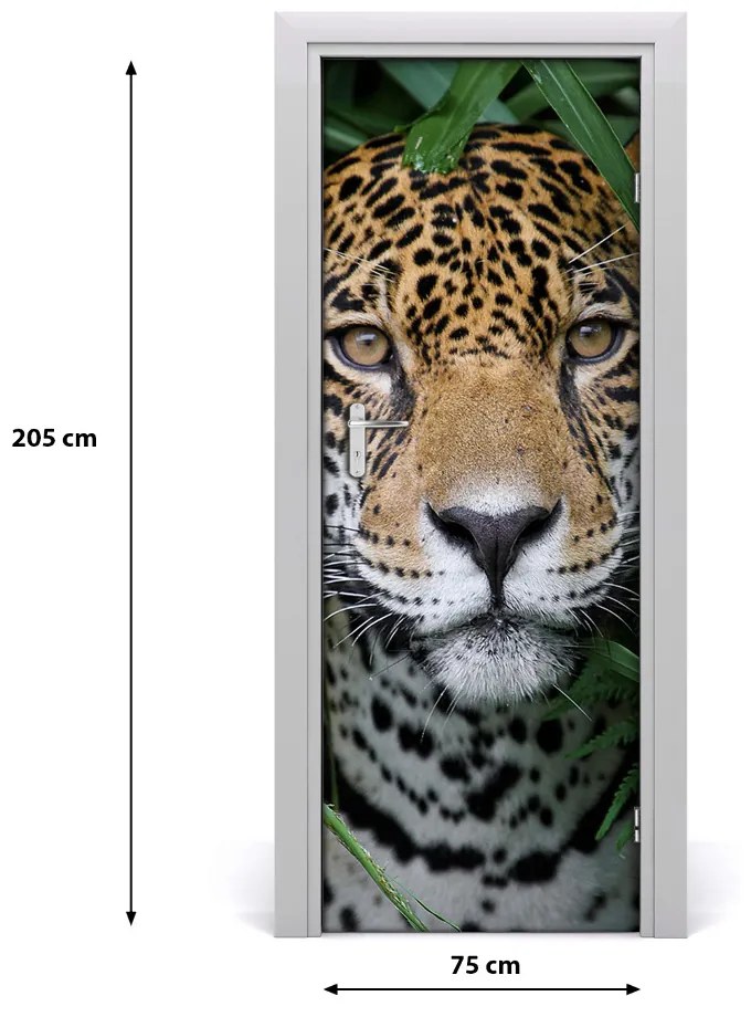 Fototapeta samolepící na dveře Amazonie jaguár 75x205 cm