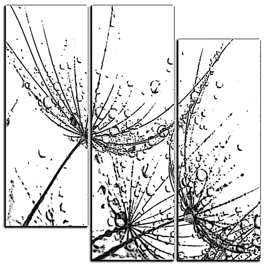 Obraz na plátně - Pampelišková semínka s kapkami vody - čtverec 3202QC (105x105 cm)