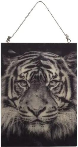 Koopman Obraz na dřevě Tygr, 28,5 x 20,5 cm