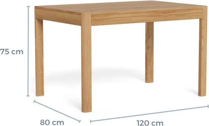 ACTONA Rozkládací jídelní stůl AREZZO přírodní 120/220x80 cm