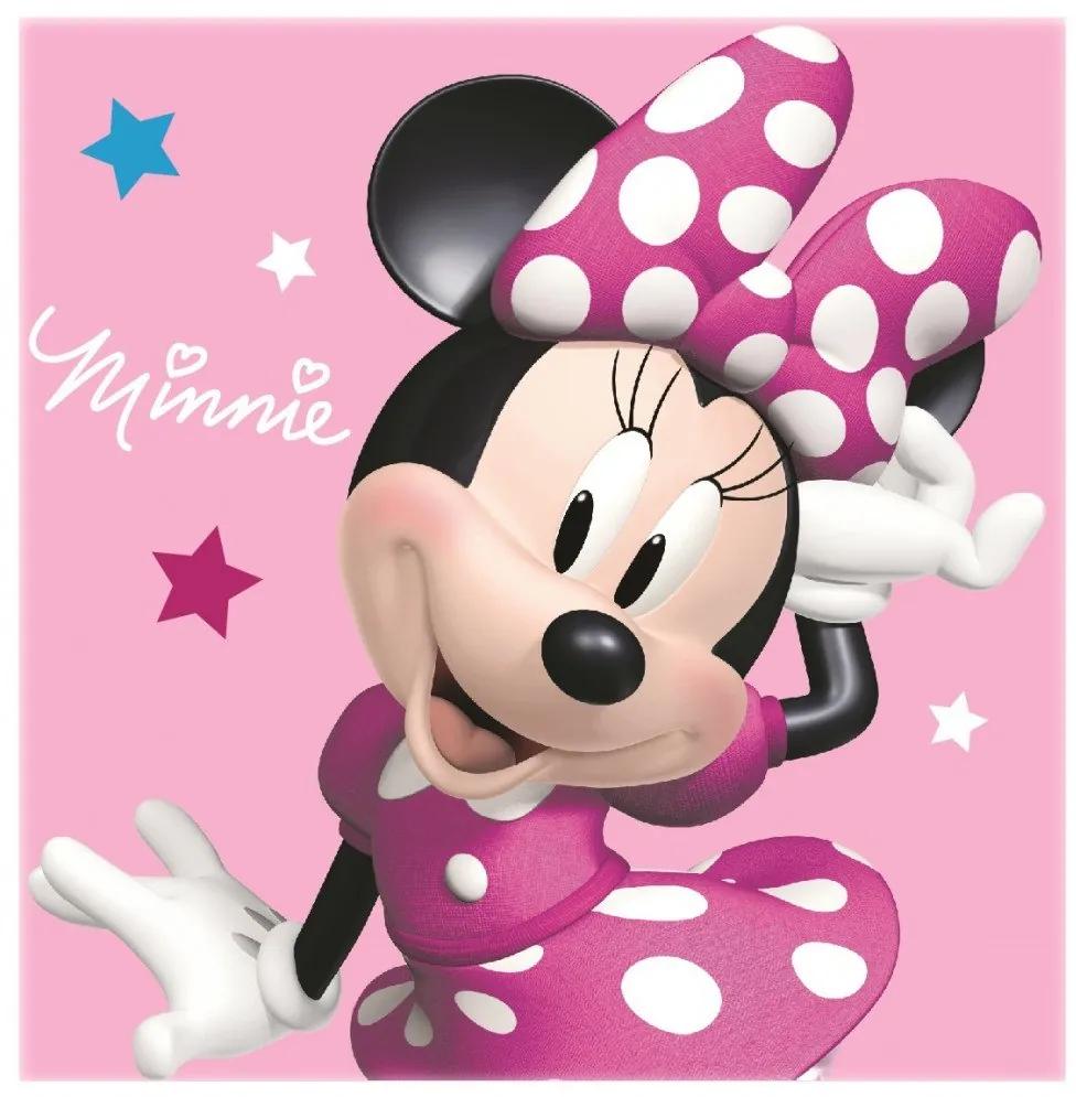 Javoli Dětský polštářek Disney Minnie 40 x 40 cm IV