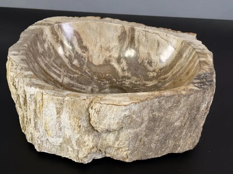 Fosilní umyvadlo ze zkamenělého dřeva 38 × 30 cm (Bali)