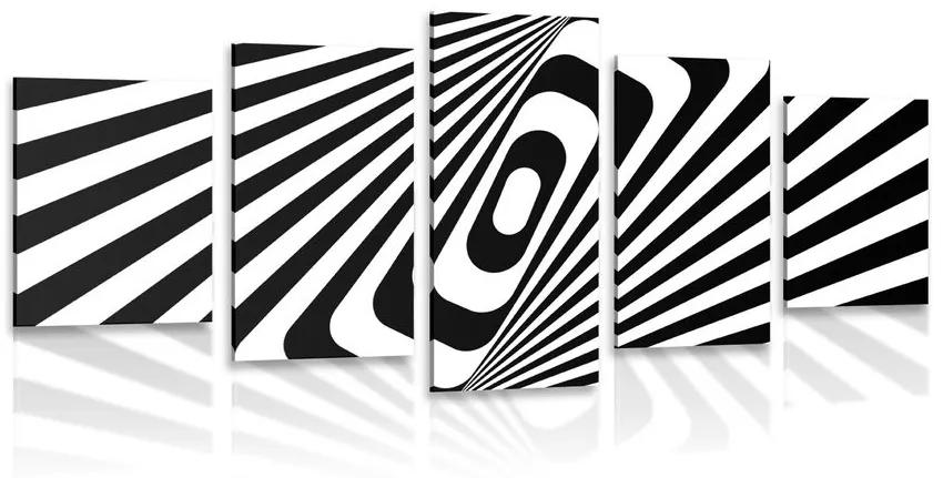5-dílný obraz černobílá iluze - 100x50 cm