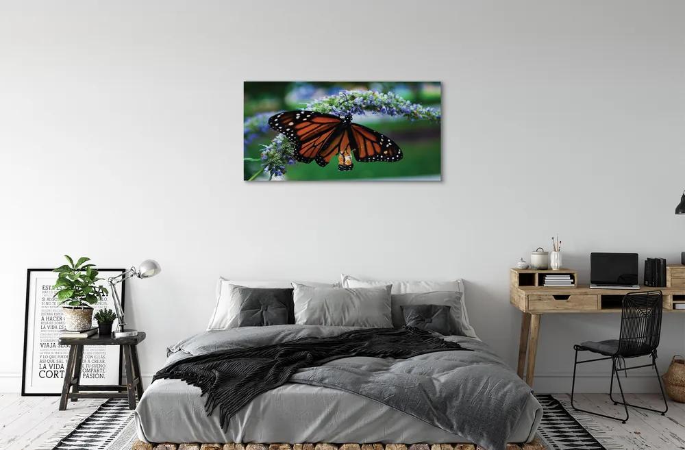 Obrazy na plátně Motýl na květině 120x60 cm