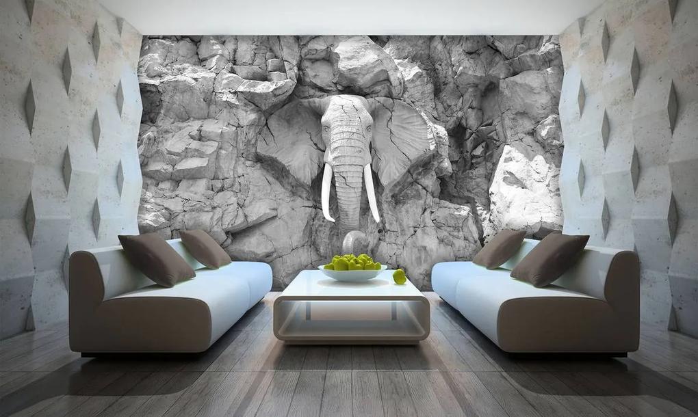 Fototapeta - Slon vytesaný ve skalách - šedý (152,5x104 cm)