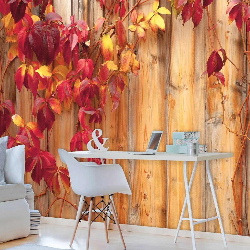 Fototapeta - Podzimní listí (254x184 cm)