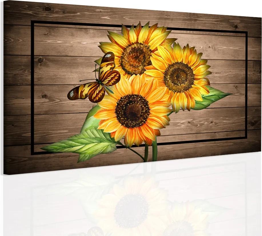 Obraz slunečnice na dřevě (90x60 cm) - InSmile ®