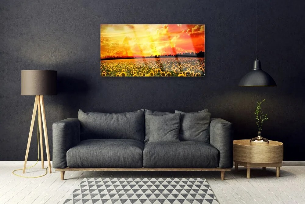 Plexisklo-obraz Louka Slunečnice Květiny 100x50 cm